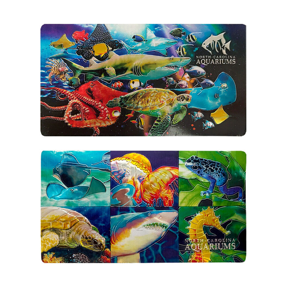 NC Freshwater Fish Poster - North Carolina Aquarium Society NC Freshwater Fish Poster - North Carolina Aquarium Society